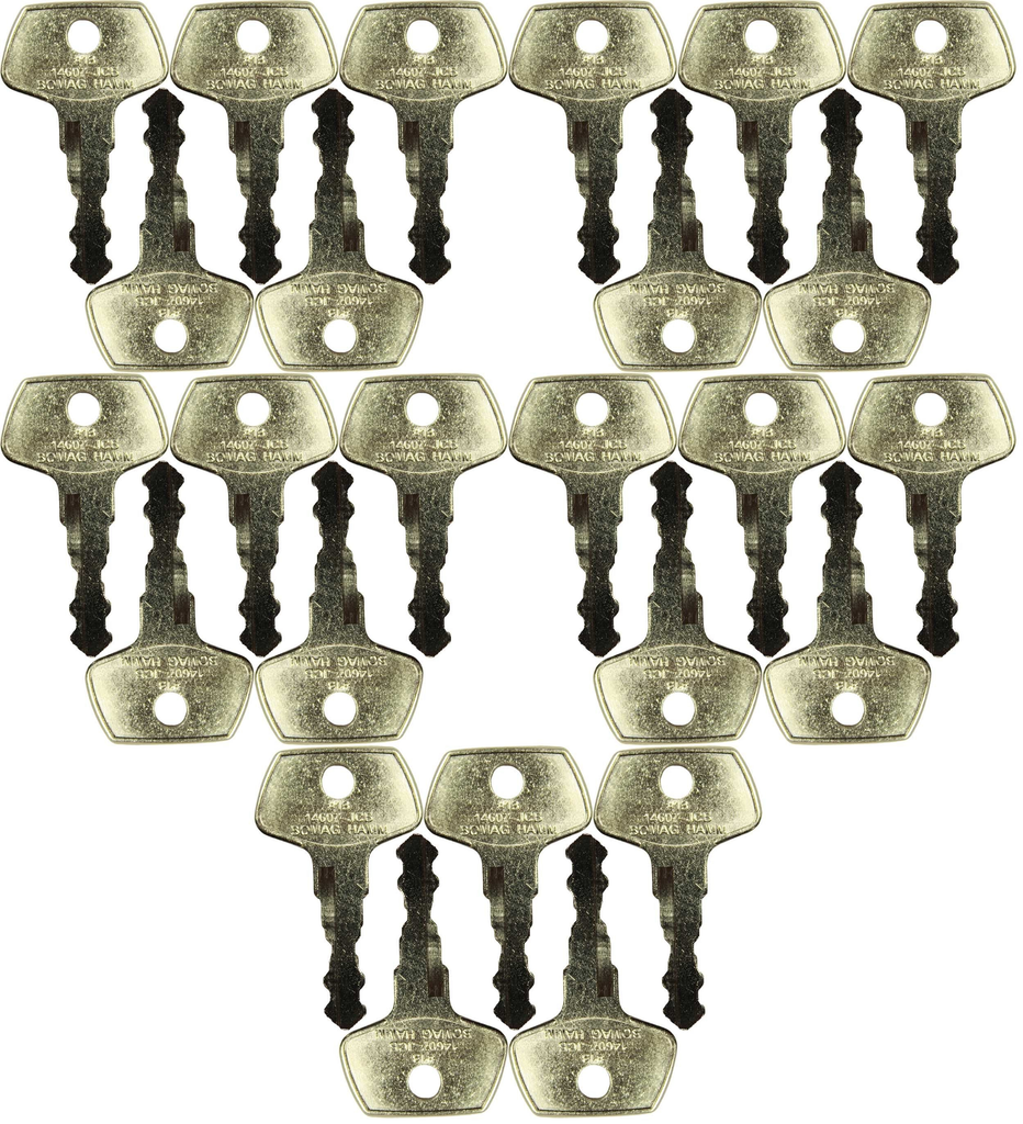 #13 (14607) JCB/CAT/Bomag Replacement Key *25 Pack* | Tornado Heavy ...